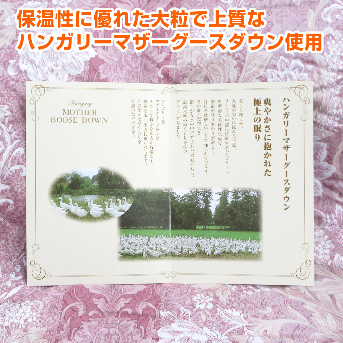 【WEB限定（店頭受取不可）☆超目玉品】日本製 増量タイプ ハンガリー産シルバーマザーグースダウン93% 羽毛布団 シングル 1.3Kg CILギャランティラベル DP400 アレルG+ 抗菌 ...